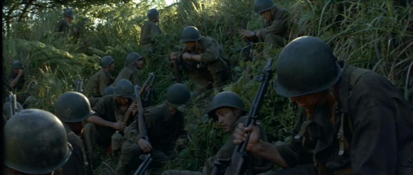 Image of The Thin Red Line