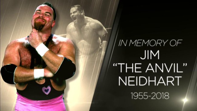 Picture of Jim Neidhart