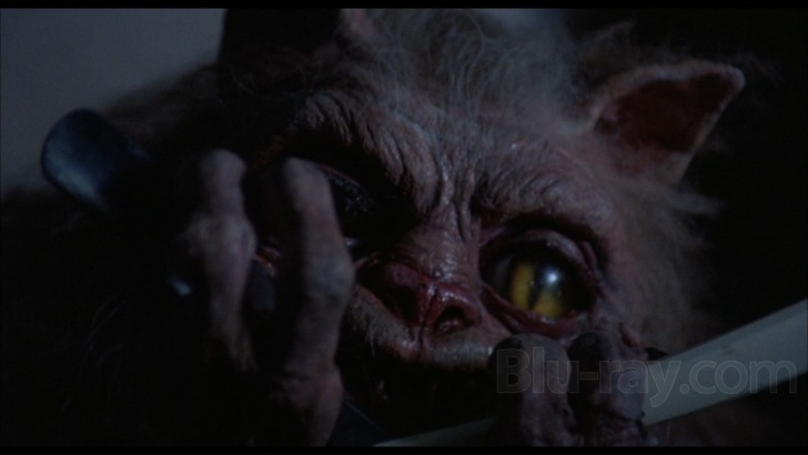 Picture of Ghoulies II