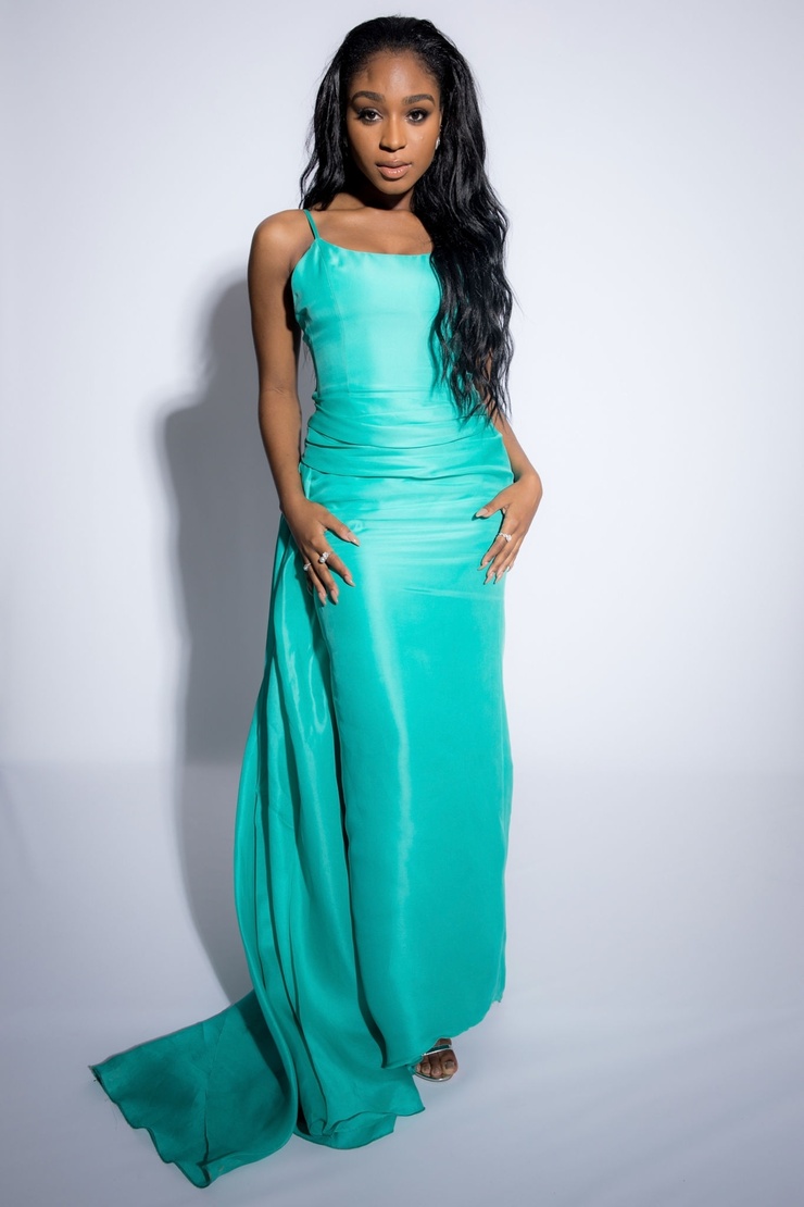 Picture of Normani Hamilton