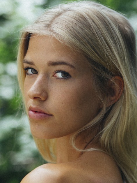 Picture of London Olive