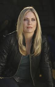 Picture of CSI: Miami