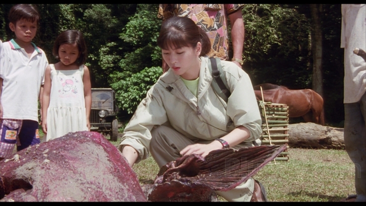 Picture of Gamera 3: The Revenge of Iris