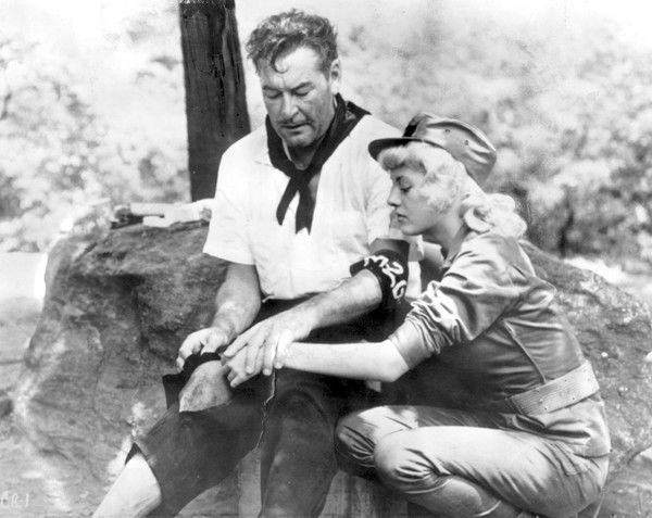 Errol Flynn, Beverly Aadland