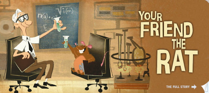 Picture of Your Friend the Rat