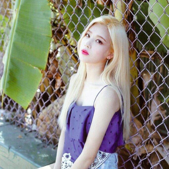 Picture of Kim Lip