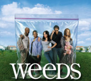 Weeds - Season 1 image