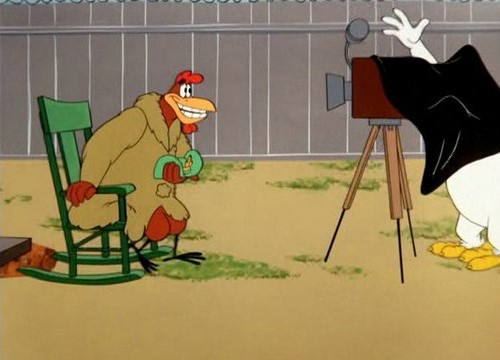 Picture of Raw! Raw! Rooster!