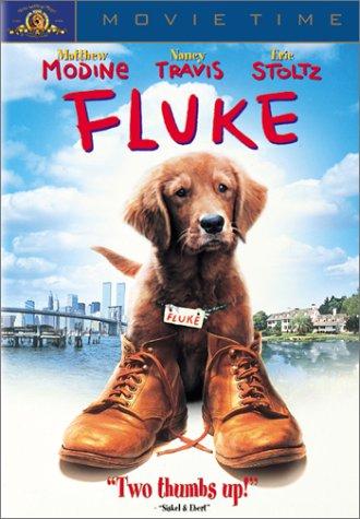 Picture of Fluke