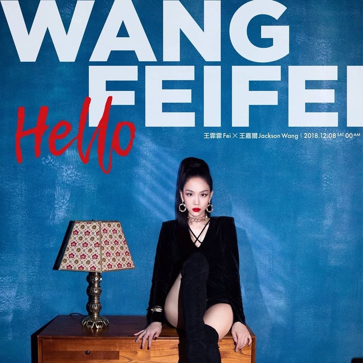 Picture of Wang Fei Fei