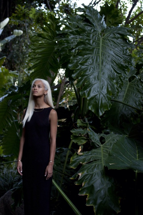 Kota Eberhardt image