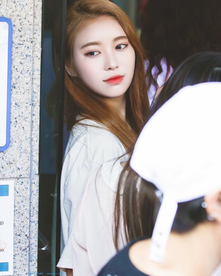 Picture of Jane (Momoland)
