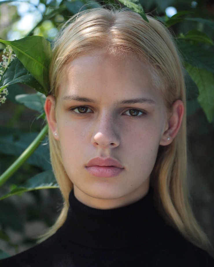 Picture of Leelou Vignoble