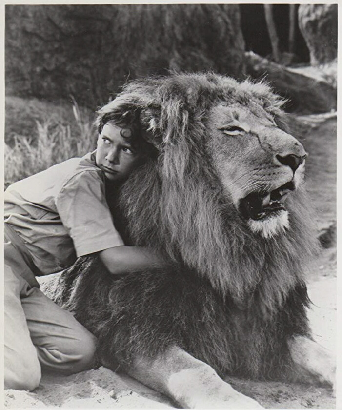 Pamela Franklin, Zamba