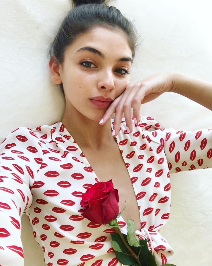 Hayley Wheeler