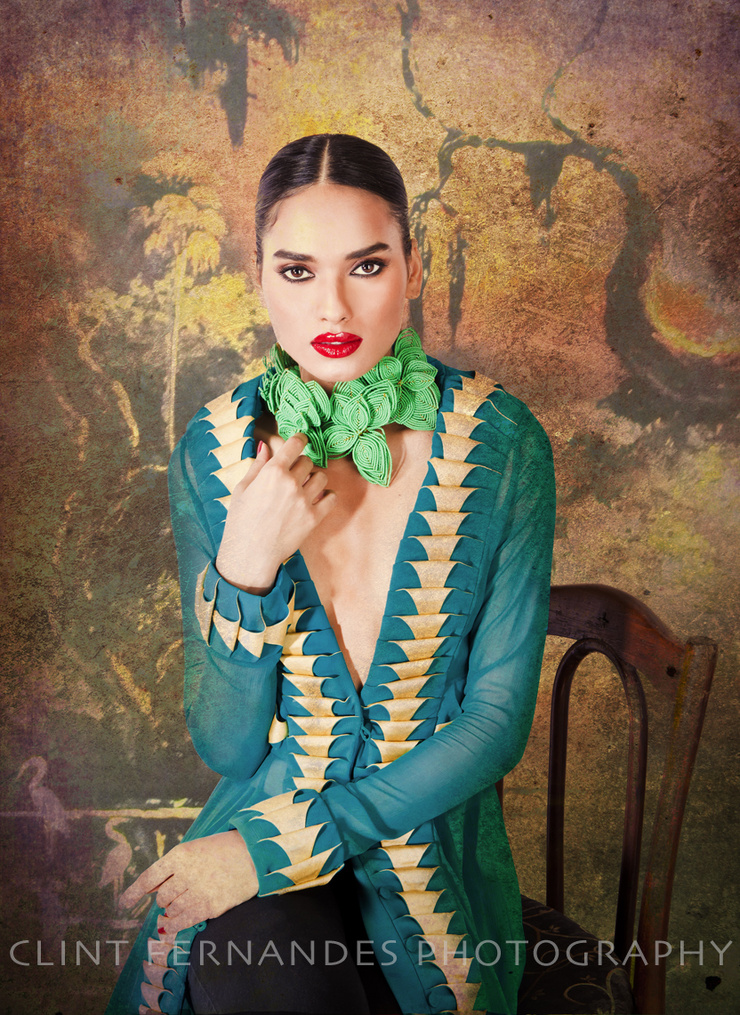 Picture of Meenakshi Rathore