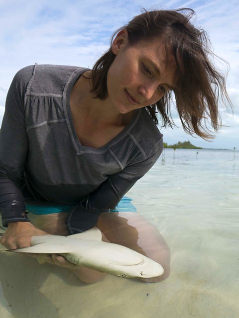 Picture of Helen Czerski