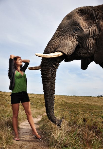 Picture of Tanit Phoenix