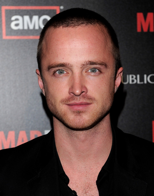 Aaron Paul image