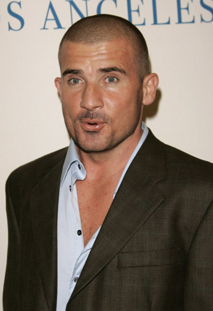 Picture of Dominic Purcell