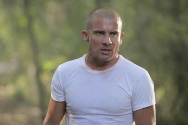 Picture of Dominic Purcell