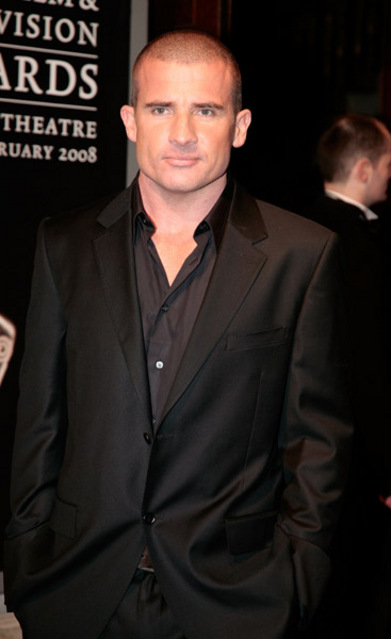 Dominic Purcell image