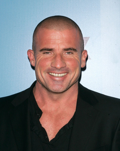 Picture of Dominic Purcell