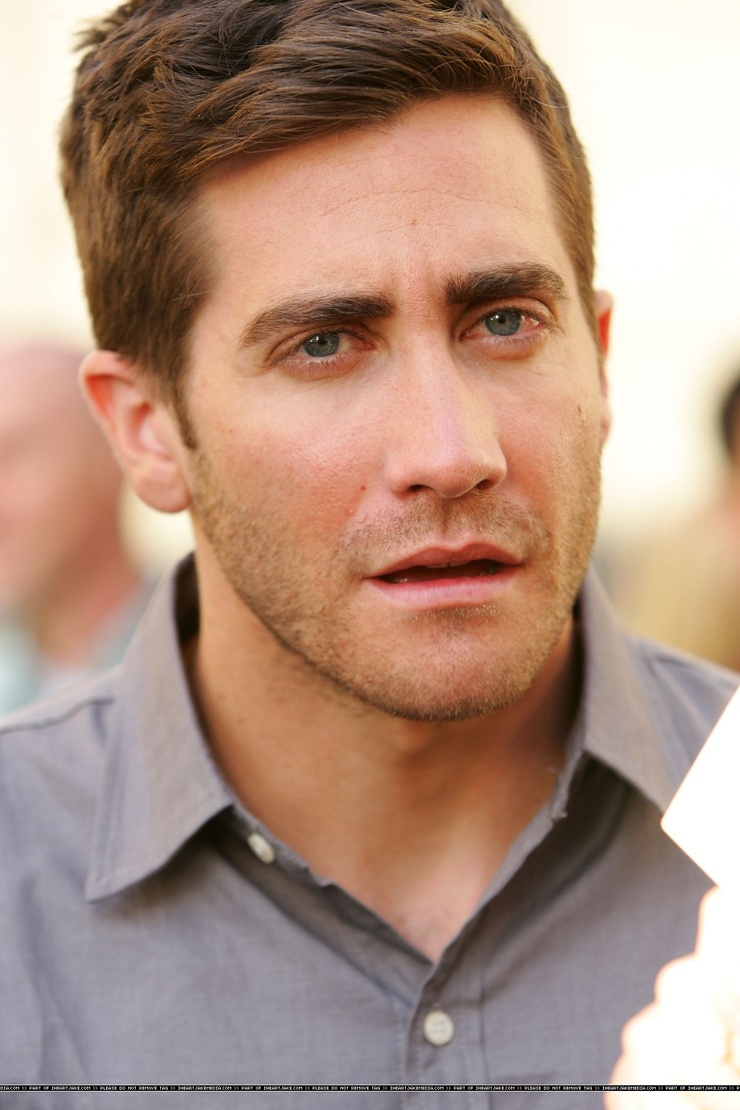 Picture of Jake Gyllenhaal