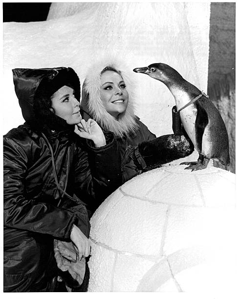 Anjanette Comer, Janine Gray