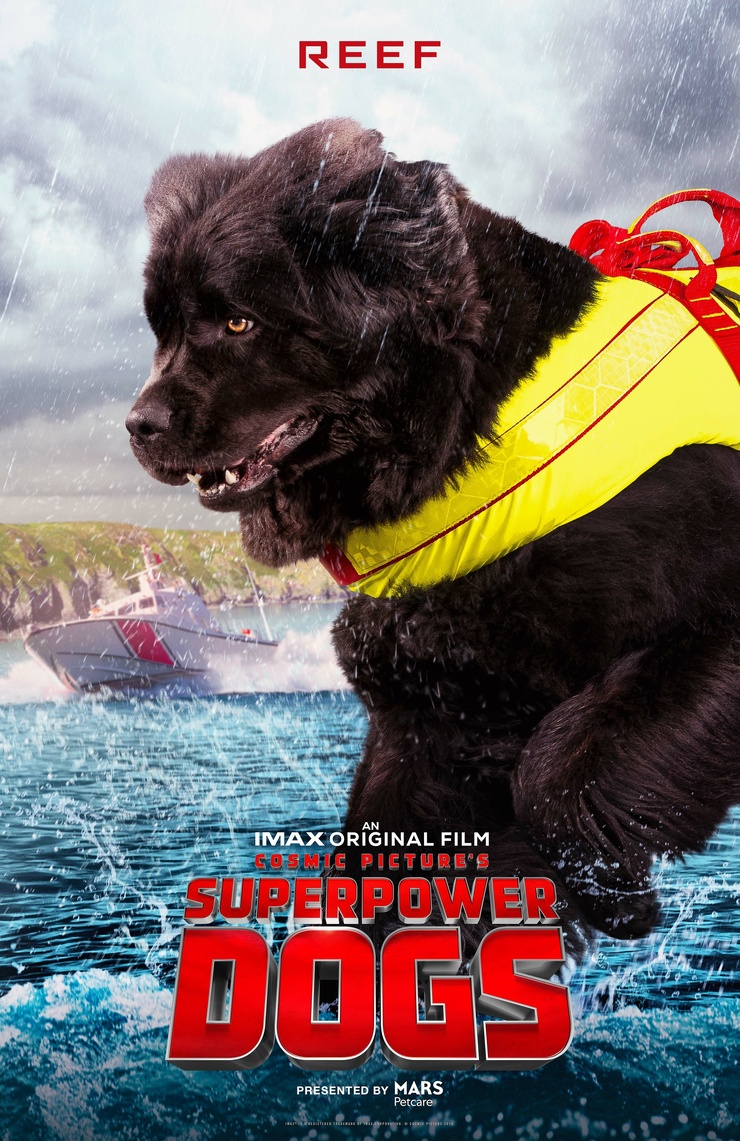 Picture of Superpower Dogs