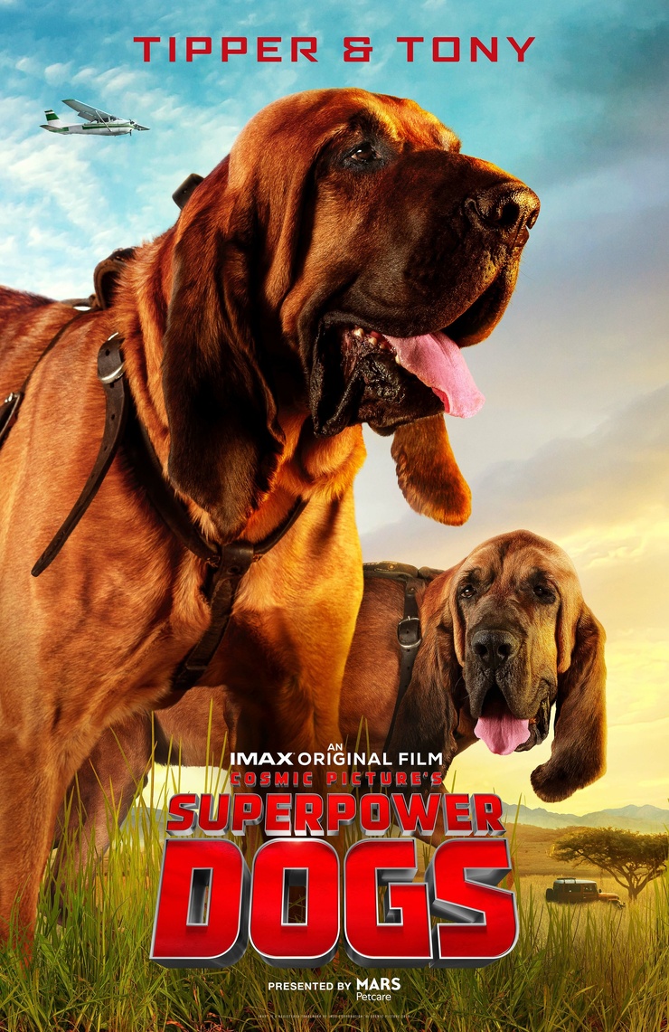 Superpower Dogs picture