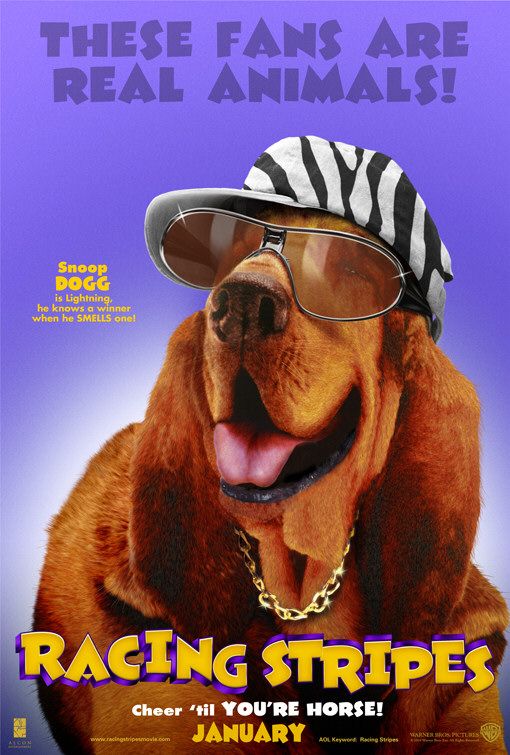 Racing Stripes picture