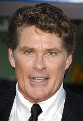 Picture of David Hasselhoff