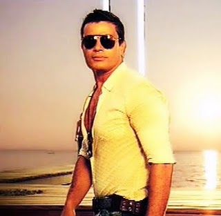 Amr Diab image