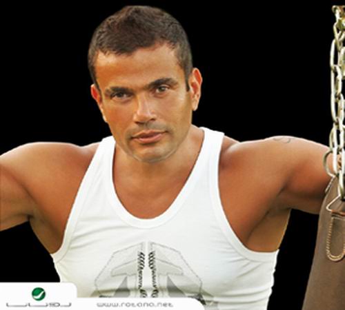 Amr Diab picture