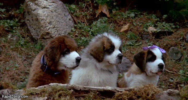 Picture of Beethoven's 2nd