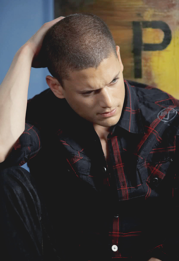 Picture of Wentworth Miller