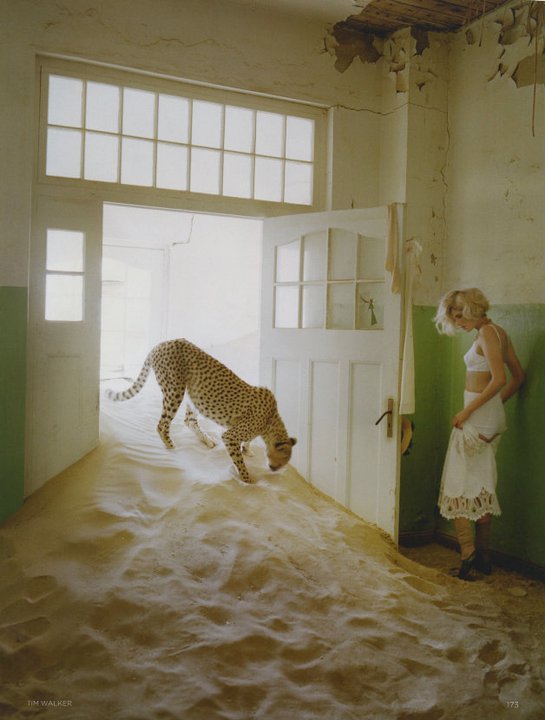 Picture of Agyness Deyn