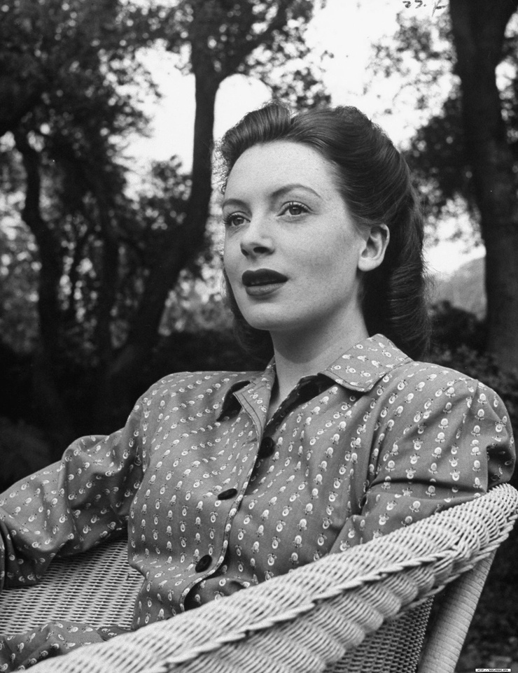 Picture of Deborah Kerr