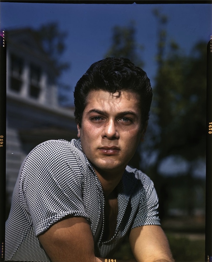 Picture of Tony Curtis