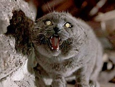 Picture of Pet Sematary
