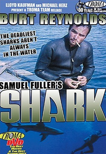 Shark image
