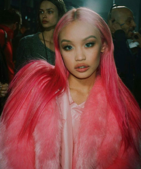 Picture of Chinqpink