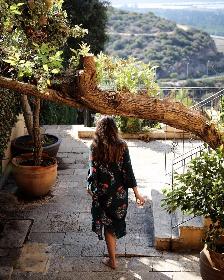 Picture of Adi Shilon