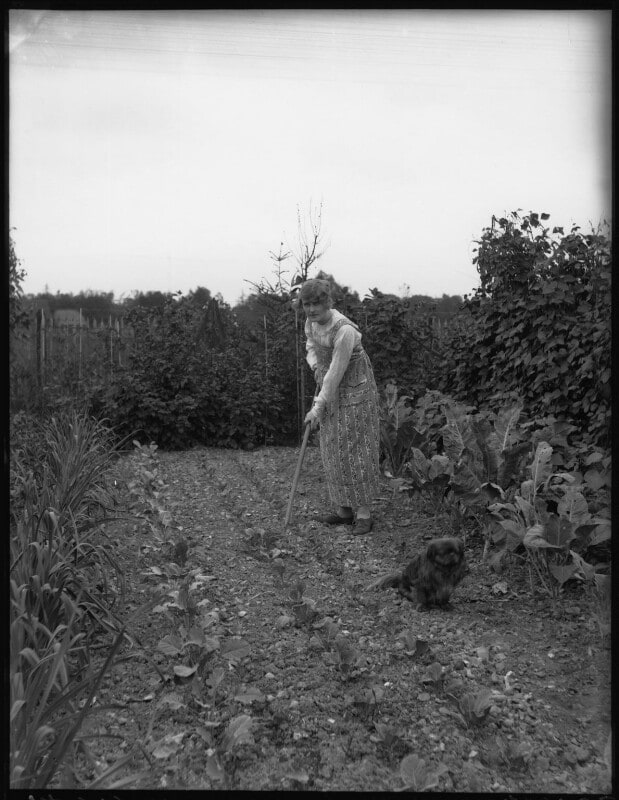 Picture of Mary Merrall