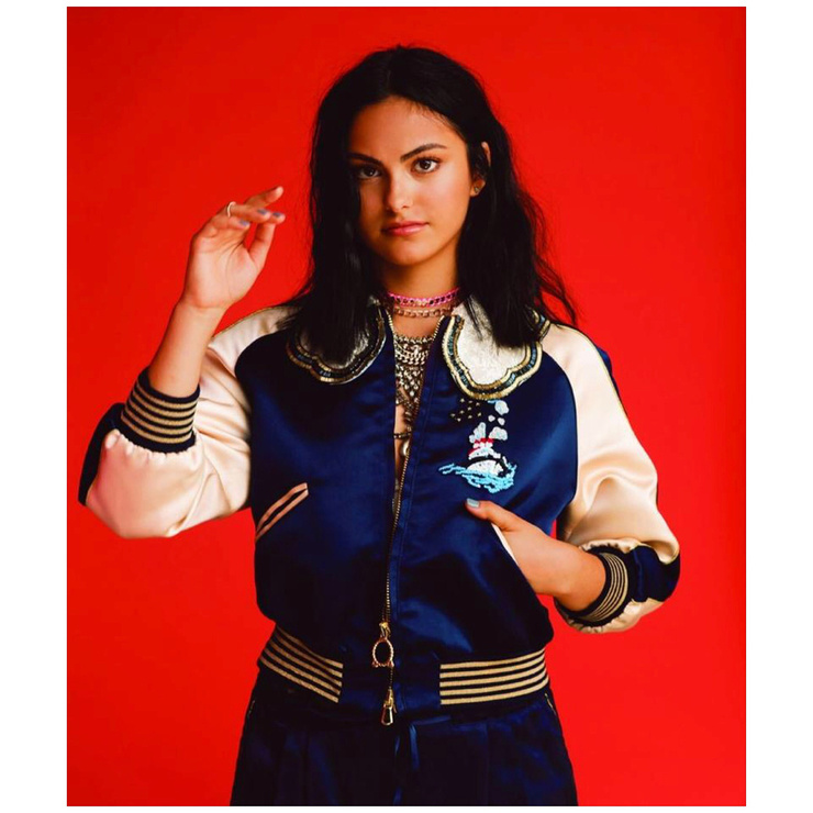 Picture of Veronica Lodge (Riverdale)