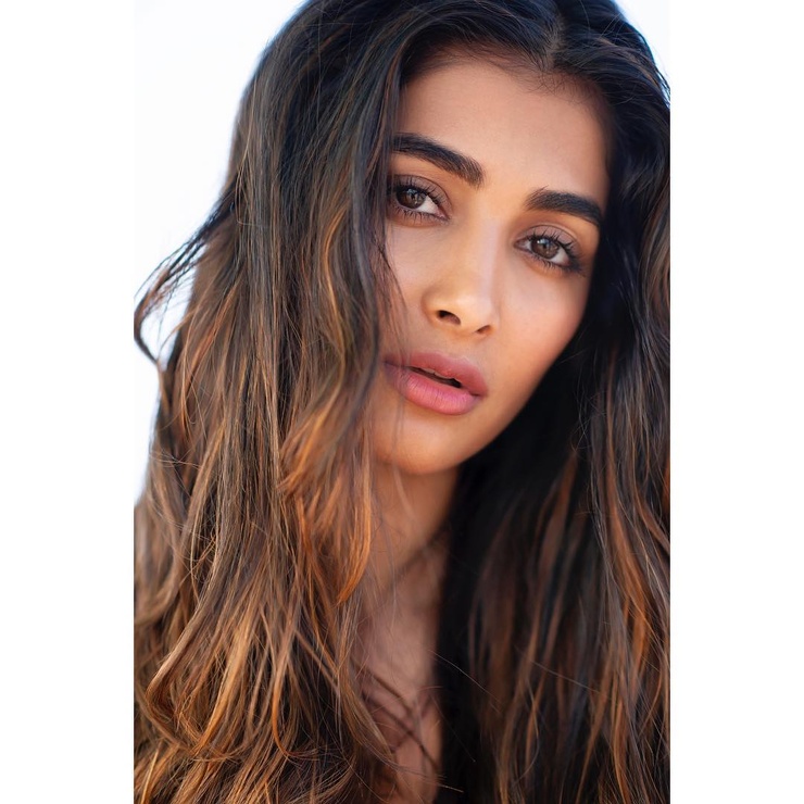 Picture of Pooja Hegde