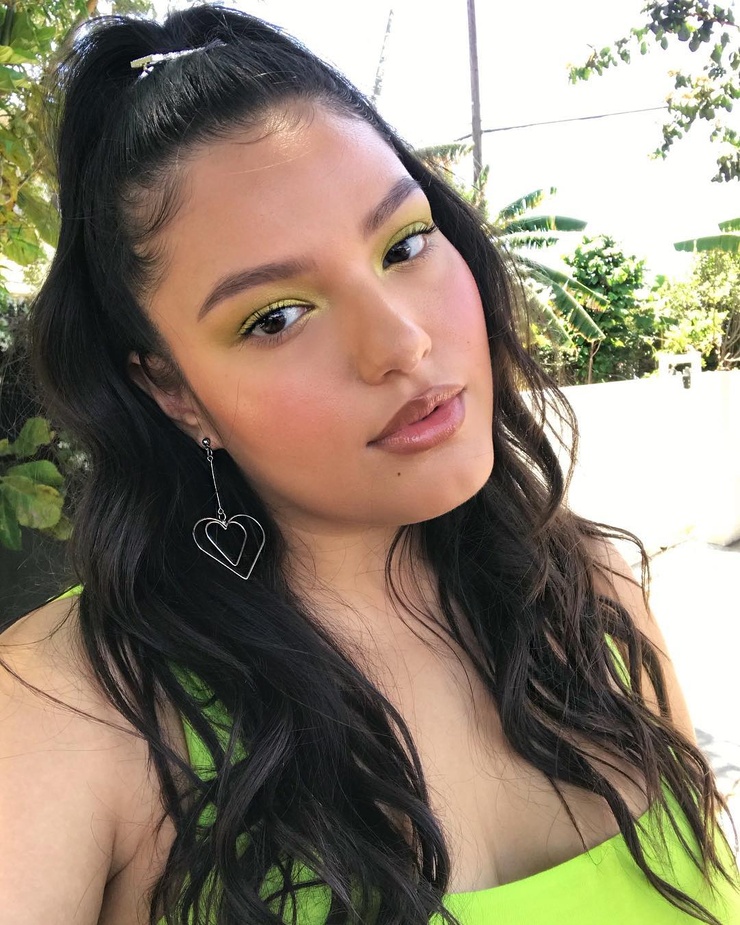 Vanessa Romo picture