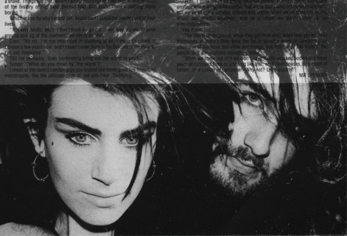 The March Violets picture