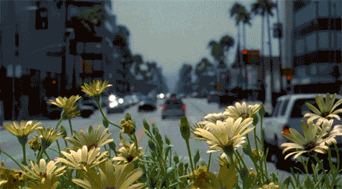 Picture of Adaptation. (2002)
